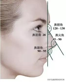 Angled or rounded, which nose forehead angle is suitable for you? - iNEWS