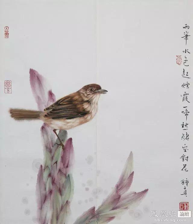 50 pictures of Zhong Zhen's fine brushwork of flowers and birds, both ...