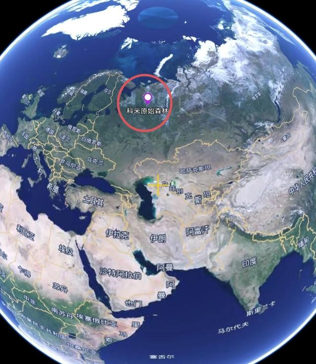 Komi Primeval Forest - the largest primeval forest in Europe - iNEWS