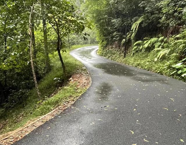 Climbing Baiyun Mountain in the rain, hazy smog, biting cold wind - iNEWS