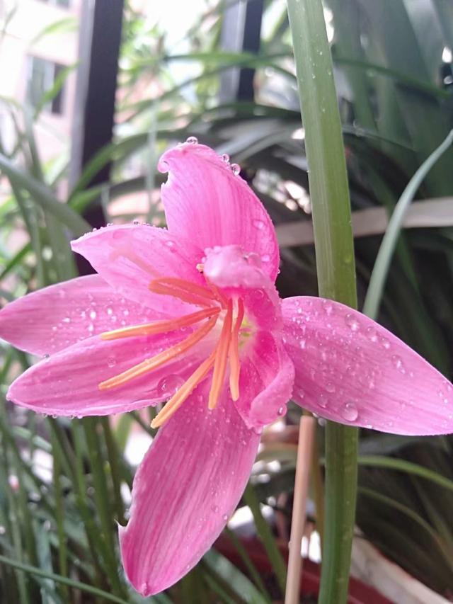 Beyond Poetry (Six Outer Poems) - iNEWS