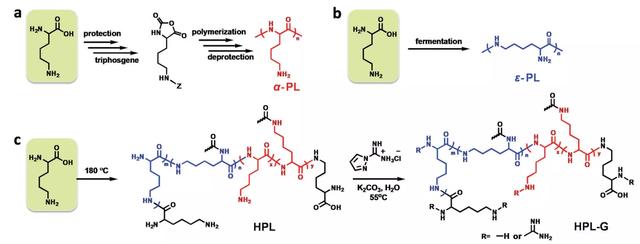 Guanylated hyperbranched polylysine with high in vitro and in vivo ...