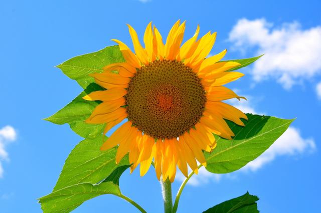 November 2022: Pisces November overall horoscope, good things happen ...