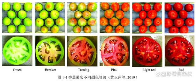 Study on the ripeness of tomato fruit by hyperspectral imaging system ...