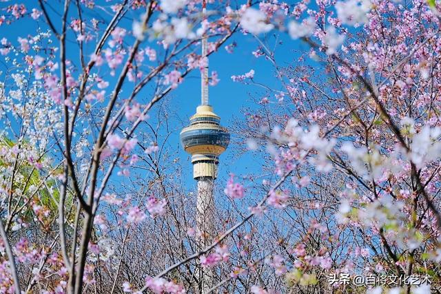 [Study tour] Studying in the spring outing and growing up in the study ...