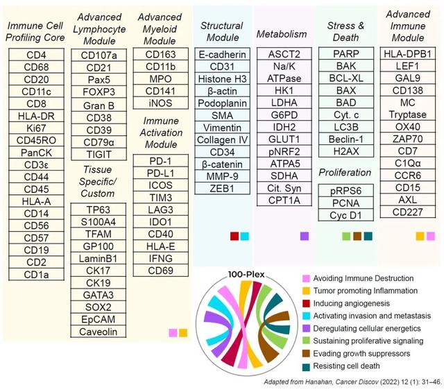 Single-cell spatial in situ detection of 100+ markers, Akoya ...