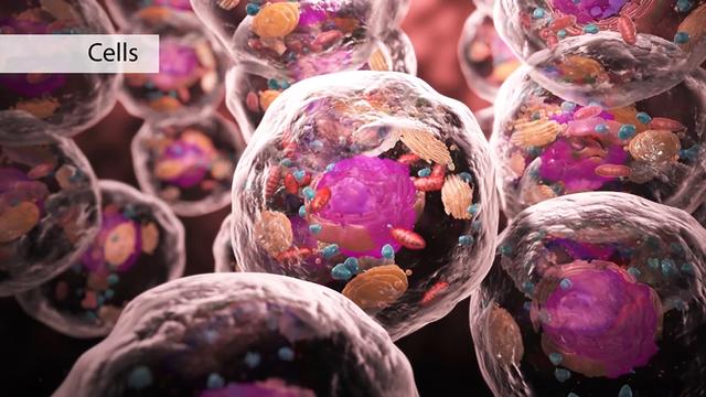 What's inside the cell? - iNEWS