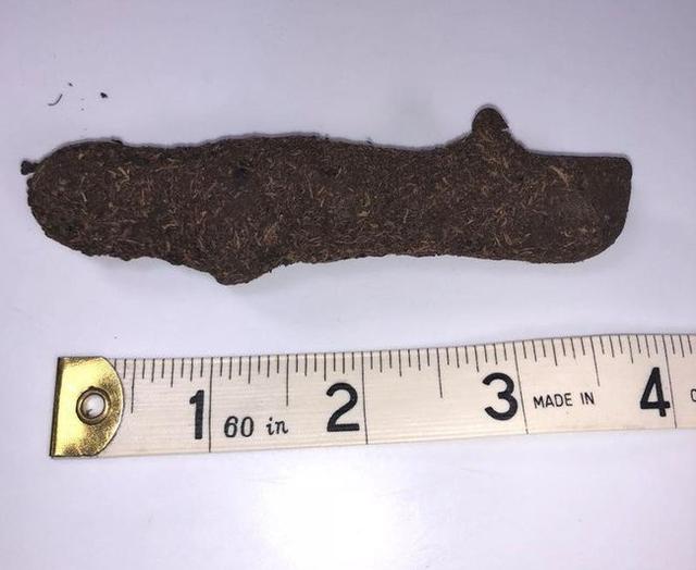 A poop in a showcase at the U.S. Air Force Museum: a military secret ...