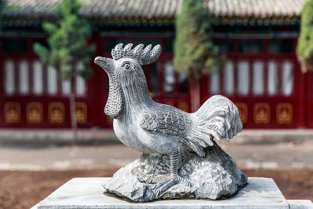 Chicken chicken: It is very important, it is the biggest "turning point ...