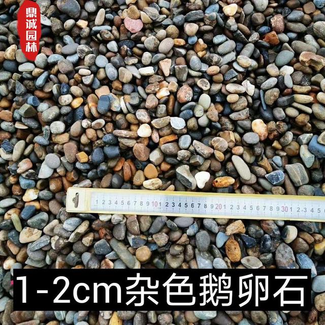 Does natural pebbles refer to naturally formed pebbles? - iNEWS