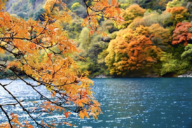 The Best Guide to Autumn in Western Sichuan - Songpinggou - iNEWS