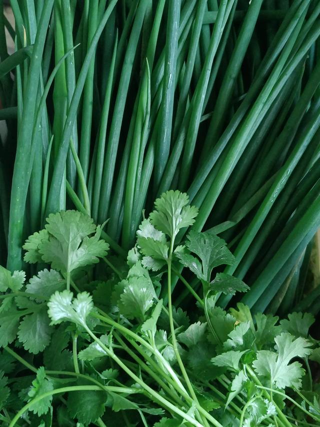 Steamed radish vermicelli buns today - iNEWS