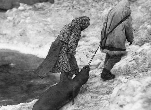 An exploration of the image of Sedna from the perspective of ...