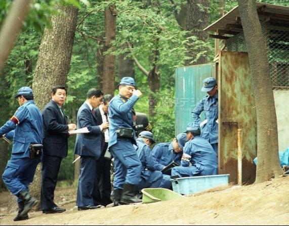 The cat that coquettishly begs for food during the day, and the beast ...