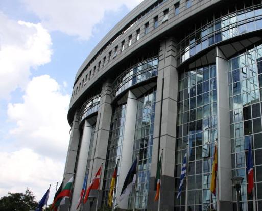 A Discussion on Regional International Organizations and the European ...