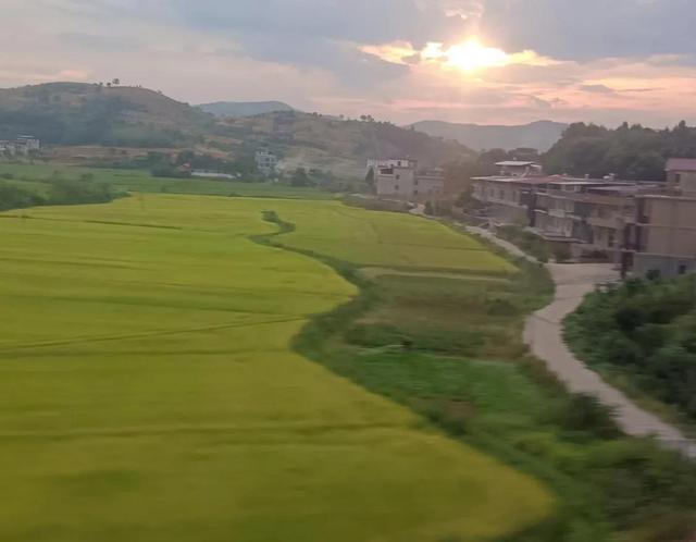 2022 Green Ting Literary Society "Everyday Poetry Arrives" Issue 219 ...