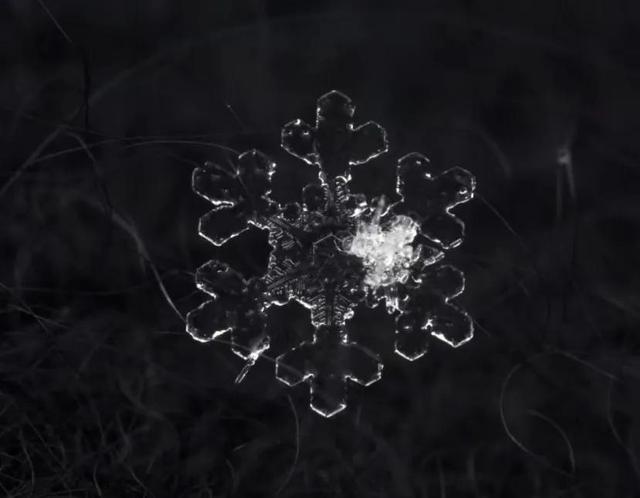 magnified snowflake - iNEWS