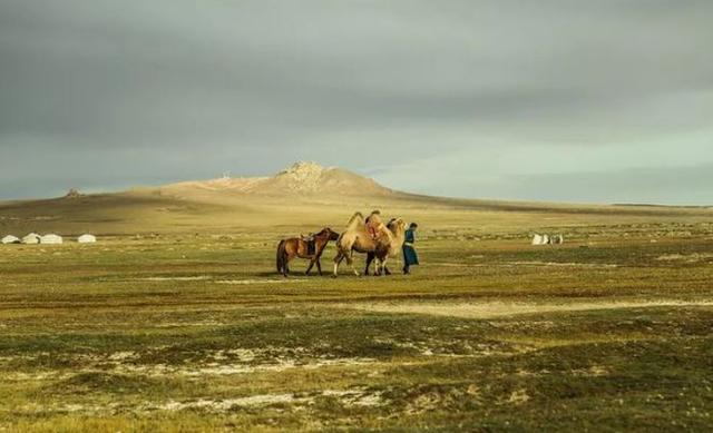 How did Mongolia's lost road and blind westernization change from a ...