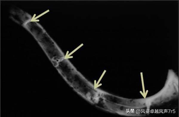 Mei Jianjun: The production technology and cultural connection of ...
