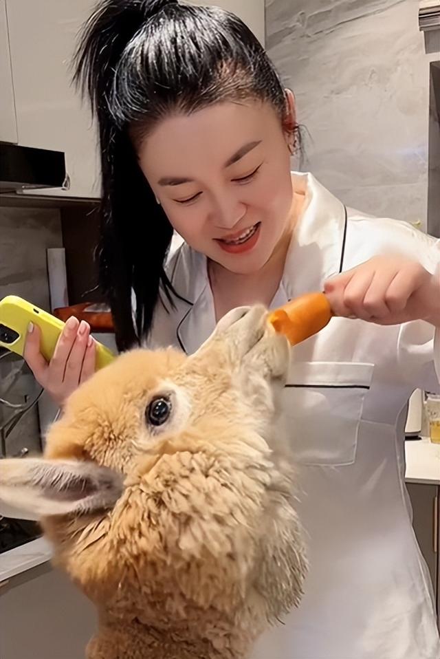 Feed the alpacas in Guan Tingna's mansion!Wearing low-neck pajamas with ...