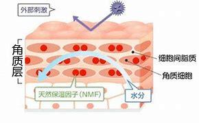 What are the problems with the skin barrier that lead to poor skin ...
