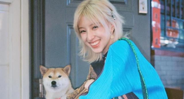 Hua Chenyu's hot search because of his girlfriend's pro-Japanese relationship?The CP scene of ...