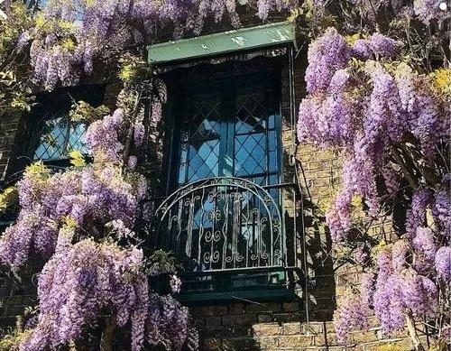 Thinking of Sima Xiangru and Zhuo Wenjun from "Sorrowful Death ...