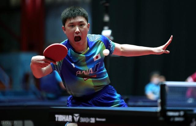 6 battles, 4 wins and 2 losses, 2 rookies who were eliminated in the ...