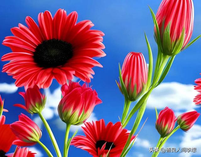 Life is not easy, don't embarrass yourself - iNEWS