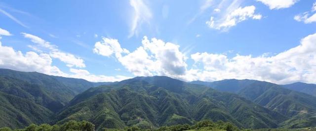 Animal and Plant Resources of Ailao Mountain - iNEWS