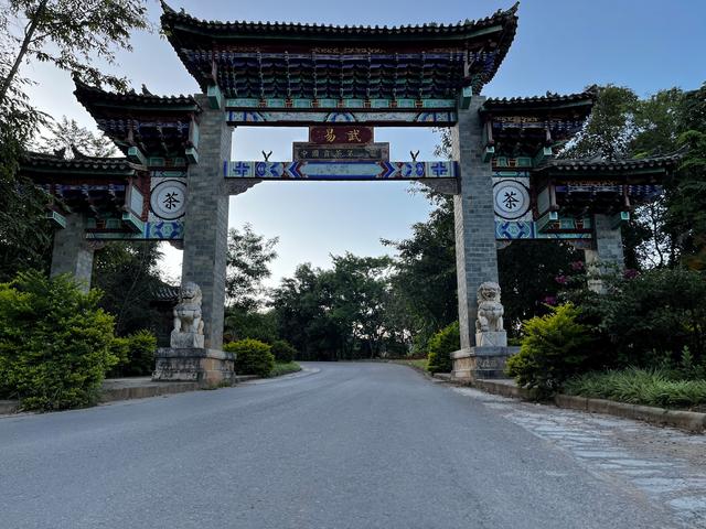 Yiwu Tea Area - iNEWS