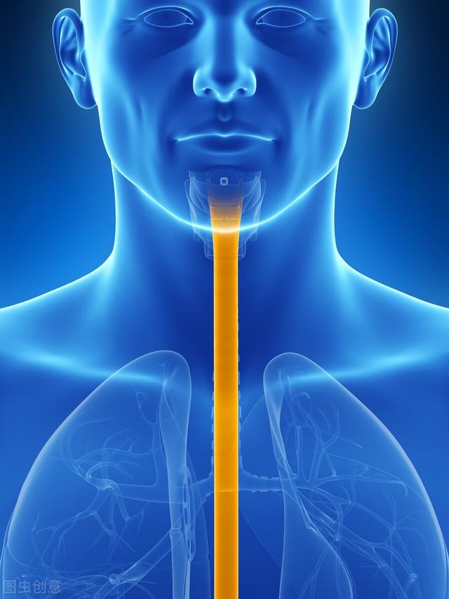 What is an esophageal ulcer - iNEWS