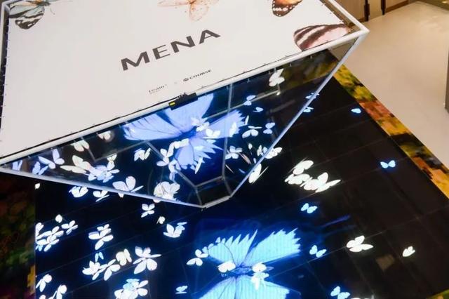 MENA: A virtual nature show in the city - iNEWS