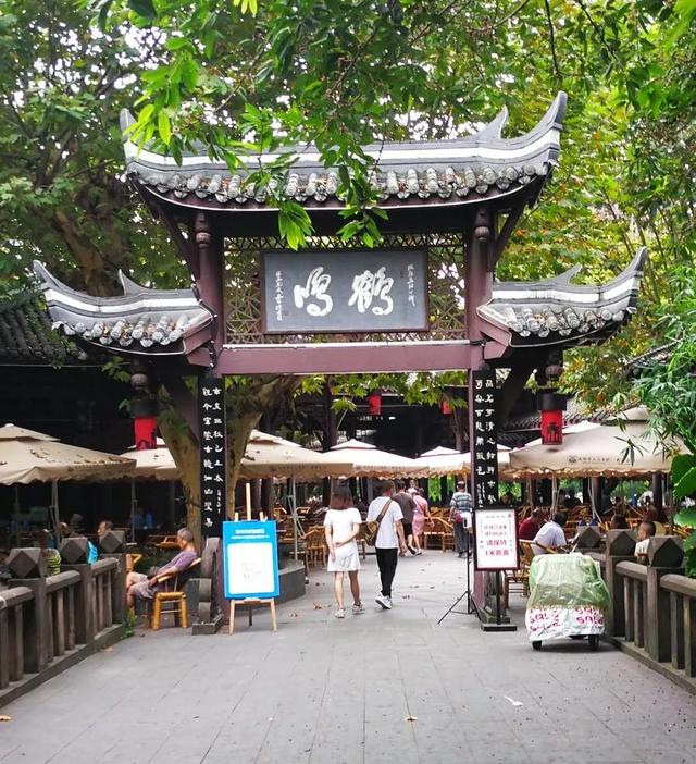 Tea tasting at: Heming Tea House - iNEWS