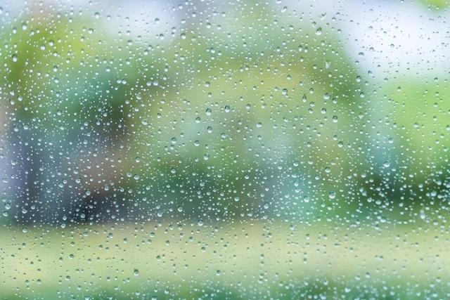 Moisture-proof and deodorizing is so easy!"4 kinds of" a large ...