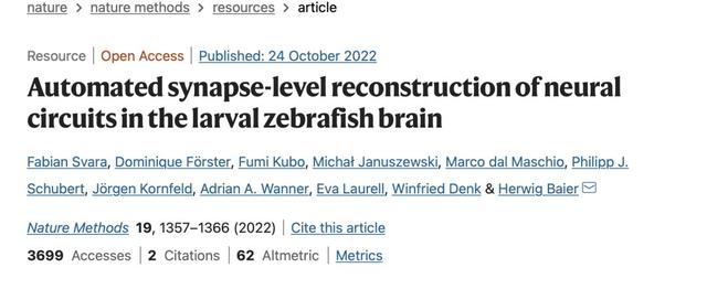 Automated synapse-level reconstruction of brain neural circuits ...