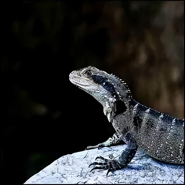 Weird phenomena that cannot be explained by science - iNEWS