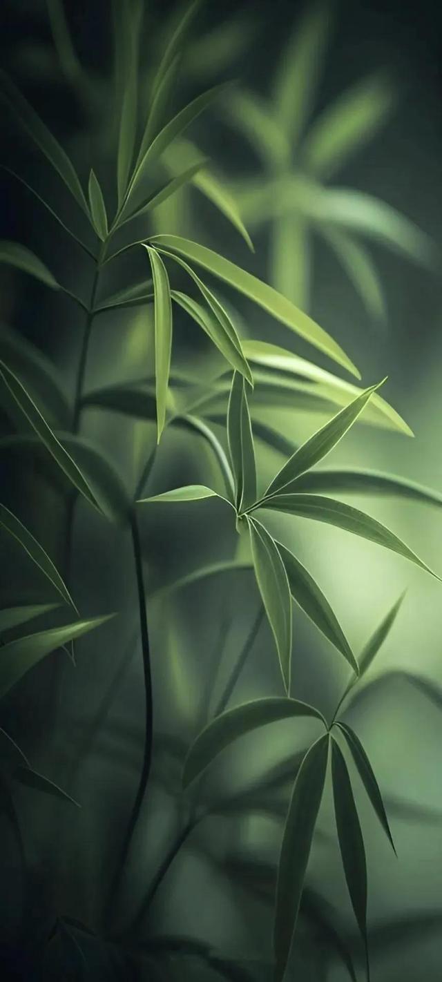 Very comfortable green eye protection wallpaper - iNEWS