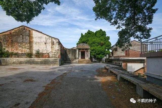 Gaoyao Yayao Village: Baoyafang Zhongshi - iNEWS