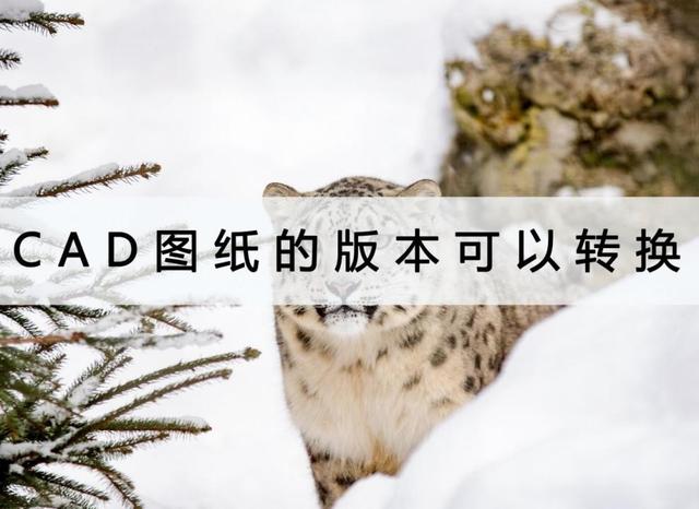 Can versions of CAD drawings be converted?Why don't you look at this ...