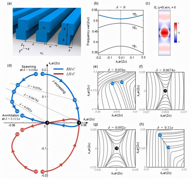 Professor Tang Zhixiang's team has made important progress in the field ...
