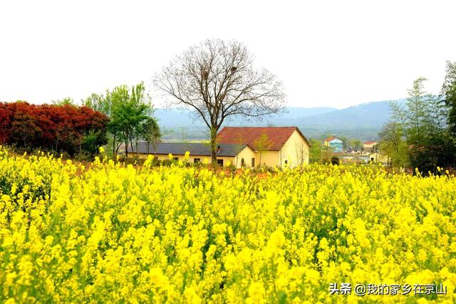 I love Cao Wu good scenery - iNEWS