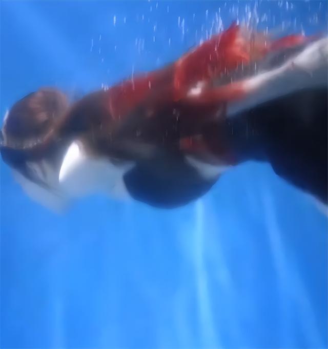 Xiran turns on the "red-haired mermaid" mode. Once the new look comes ...
