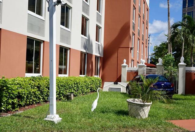 Egret prey map - iNEWS