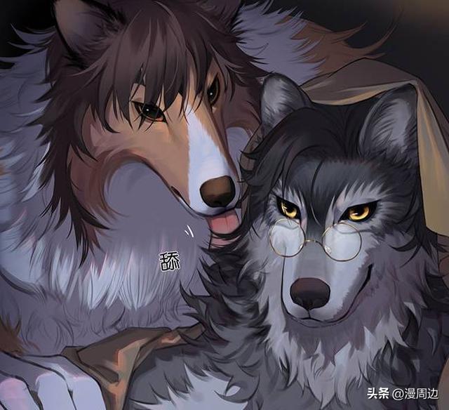 "Cartoon" Wolf and Sheepdog: Bringing Wolves into the House - iNEWS
