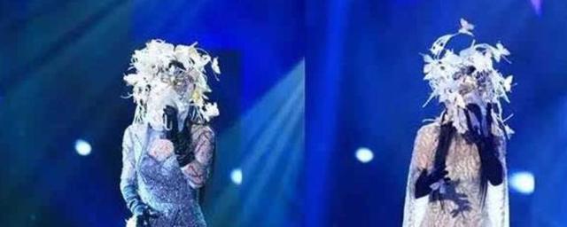 Who is the masked moth in the variety show "The Masked Singer and Guess ...