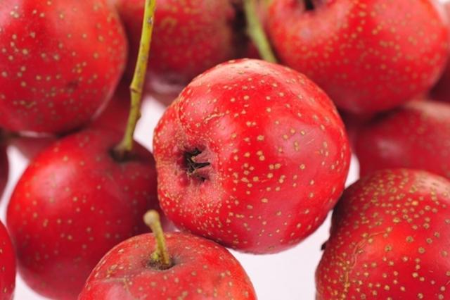 I often drink "dried hawthorn" in water, persist for a period of time ...