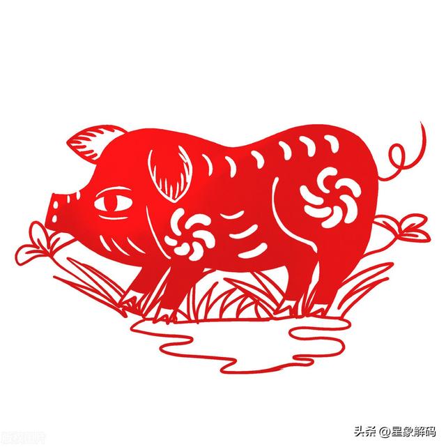 The three luckiest constellations of the zodiac pig, the wealth fortune ...