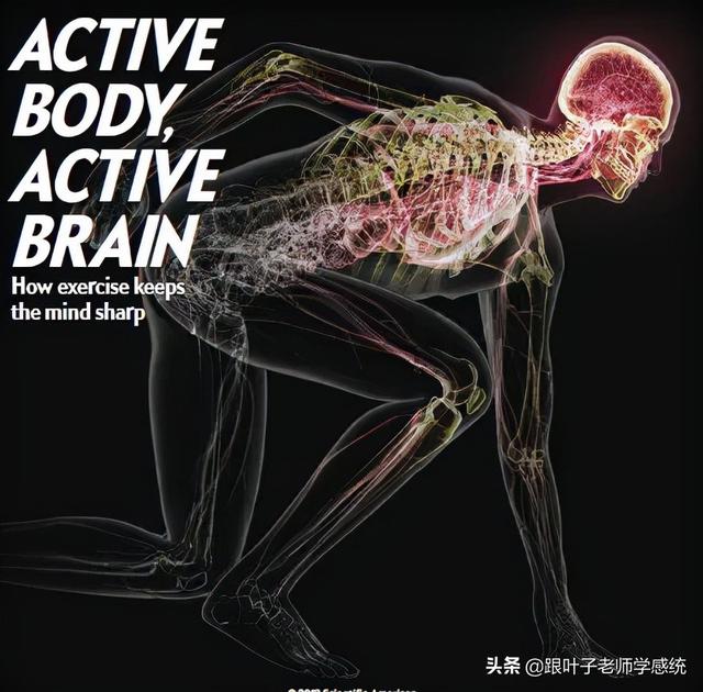 How does exercise affect the brain?Try these games to improve children ...