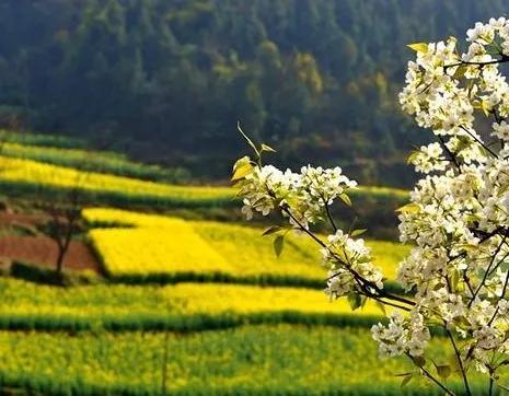 Prose: In spring, interpreting the beauty of life - iNEWS